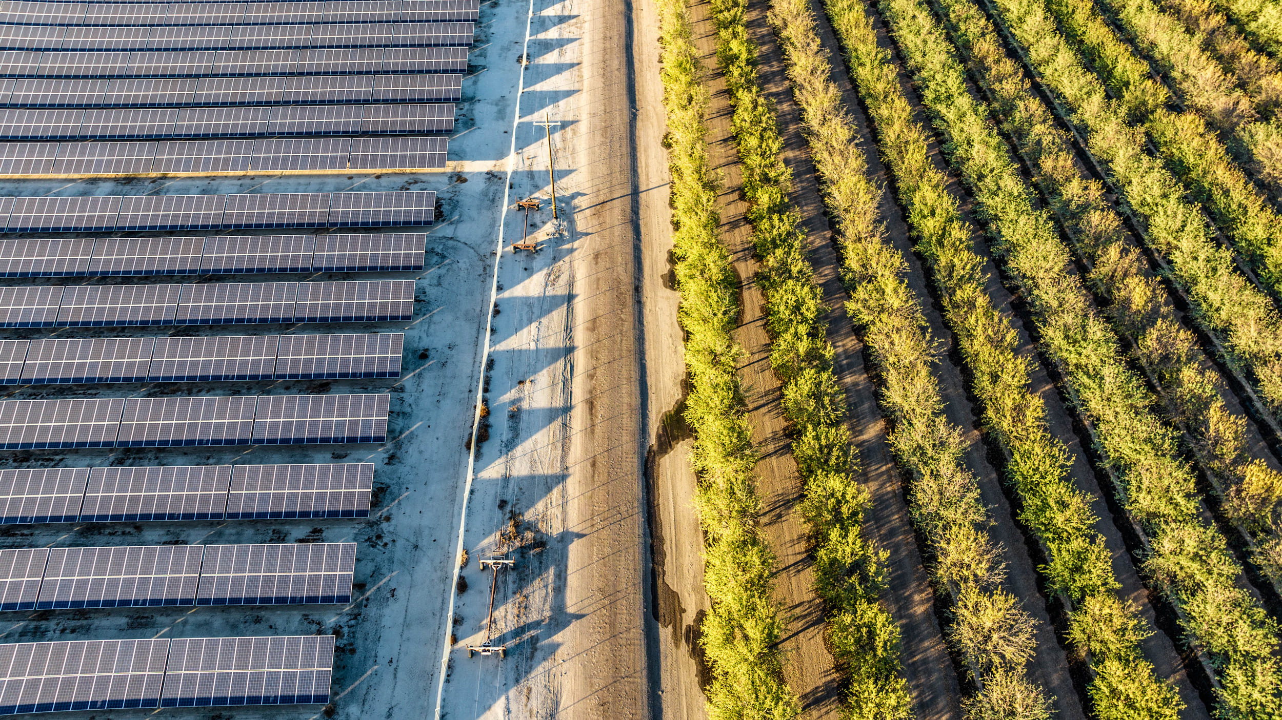 Environment: Is Switzerland a Futuremover? - Globalance Bank