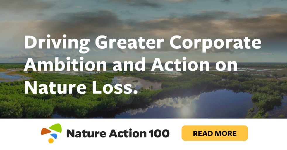 Globalance & Nature Action 100: Together against the loss of nature ...